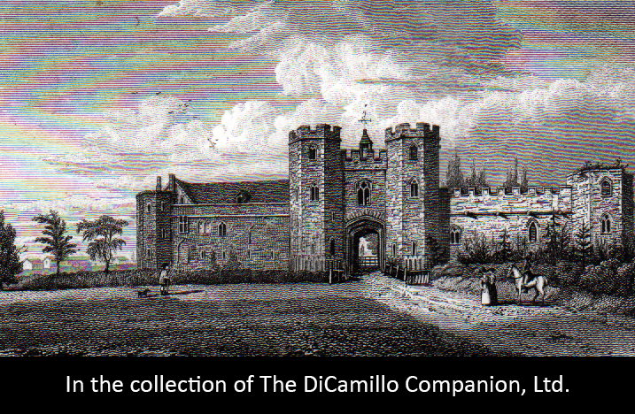 Wingfield Castle - DiCamillo