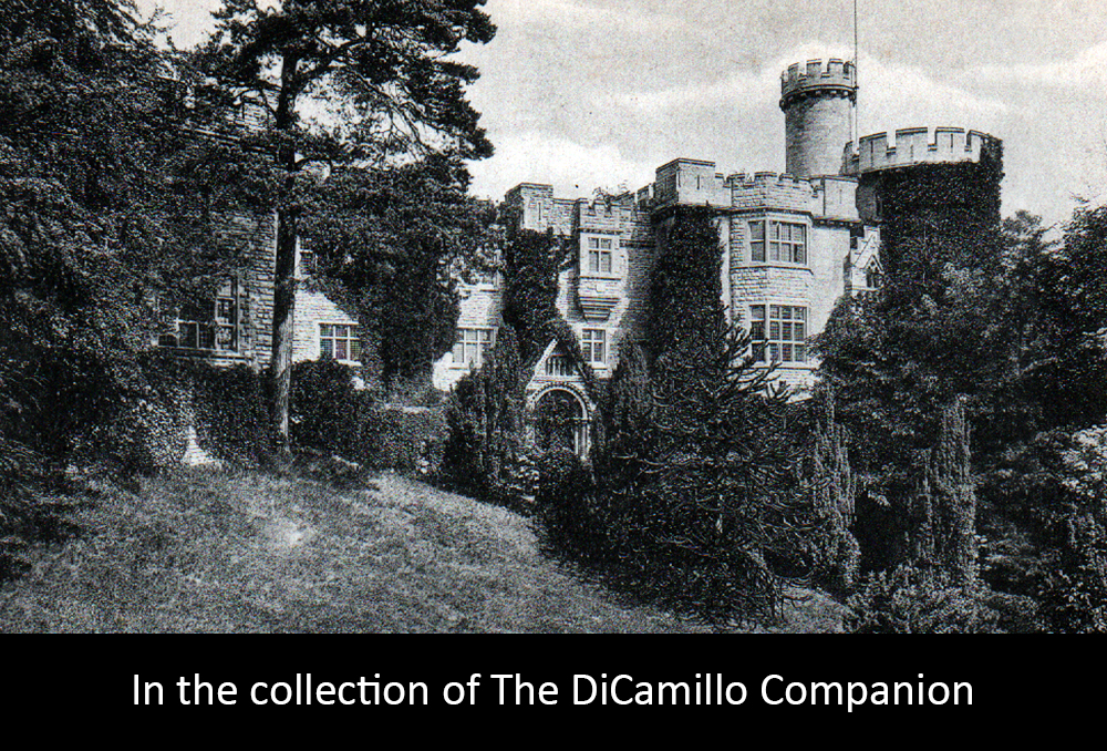 Devizes Castle - DiCamillo